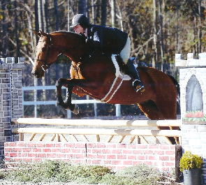 Hidden Hill Farm ~ Hunter Jumper Show Barn in Bahama, North Carolina